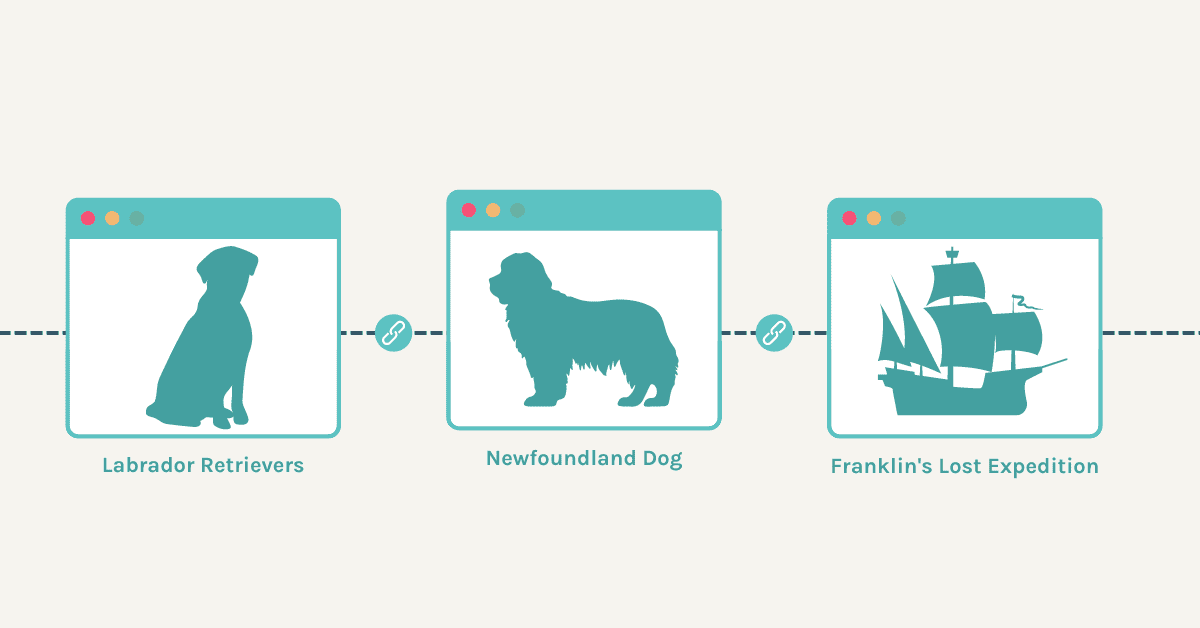 The Difference Between Internal Links, External Links, and Backlinks